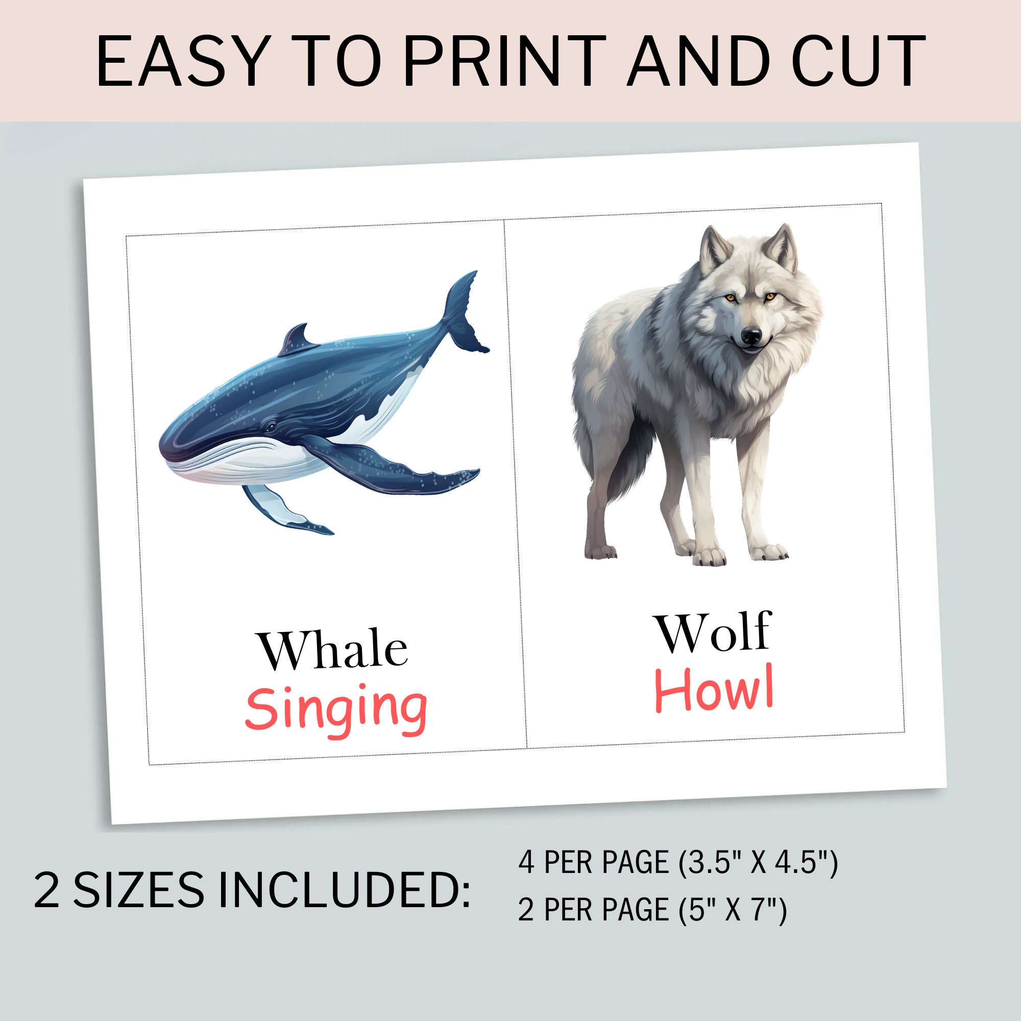 Animal Sound Printable Flash Cards Learning Tool for Education Fun ...