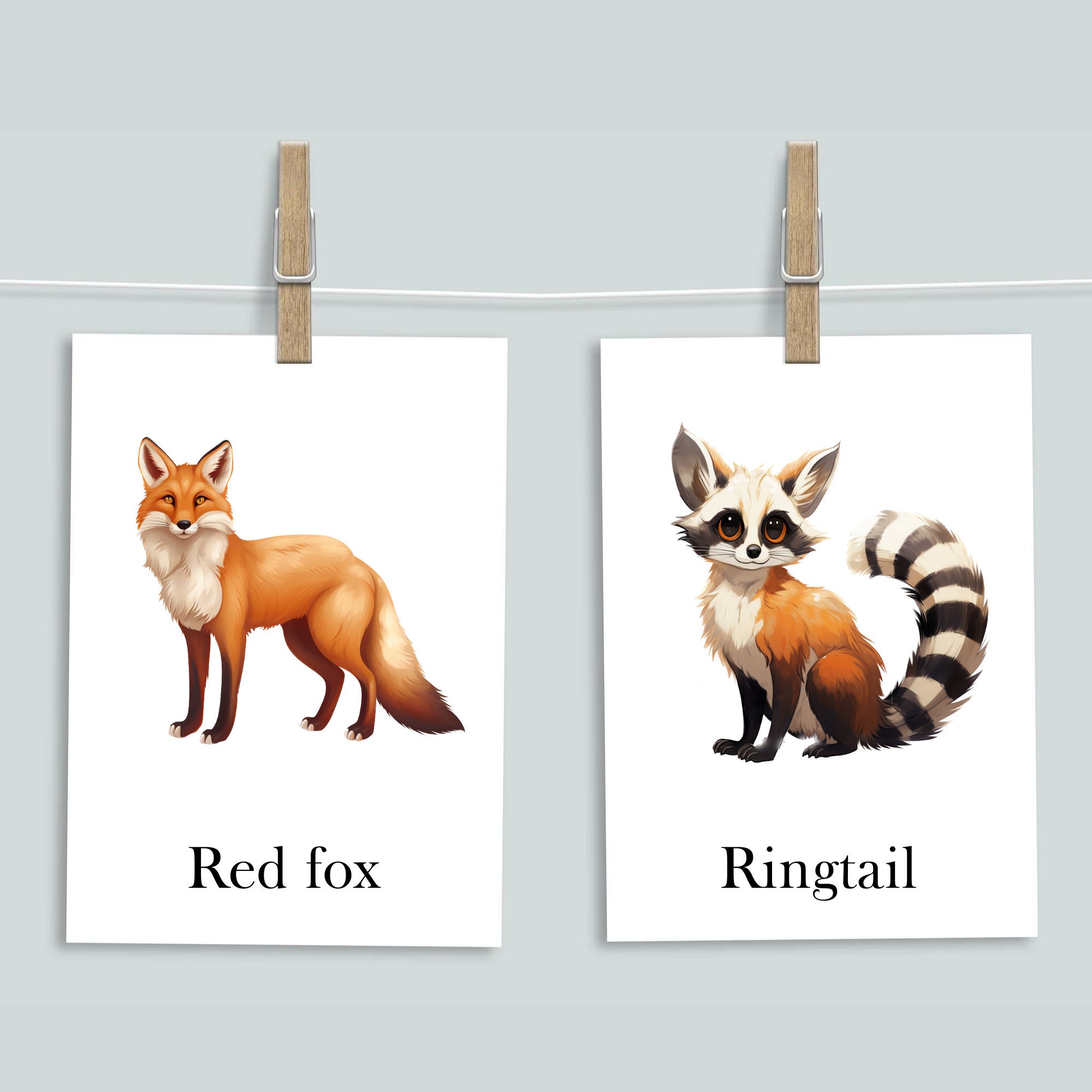 Nocturnal Animal Printable Flash Cards Learning Tool for Education ...