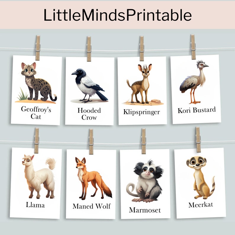 Dry Forest Animal Printable Flash Cards Learning Tool for Education ...