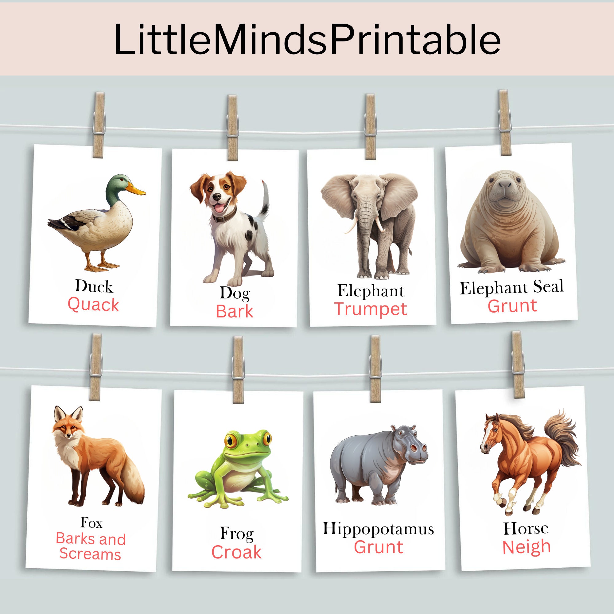 Animal Sound Printable Flash Cards Learning Tool for Education Fun ...