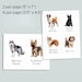 Dog Breeds Printable Flash Cards Learning Tool for Education About Fun ...