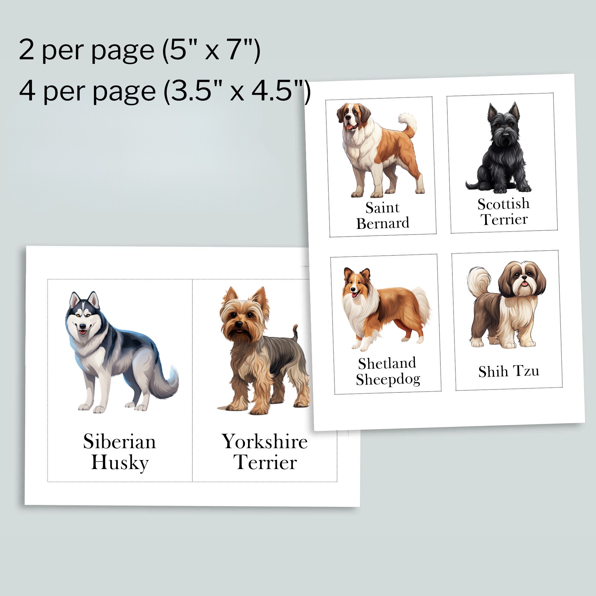 Dog Breeds Printable Flash Cards Learning Tool for Education About Fun ...