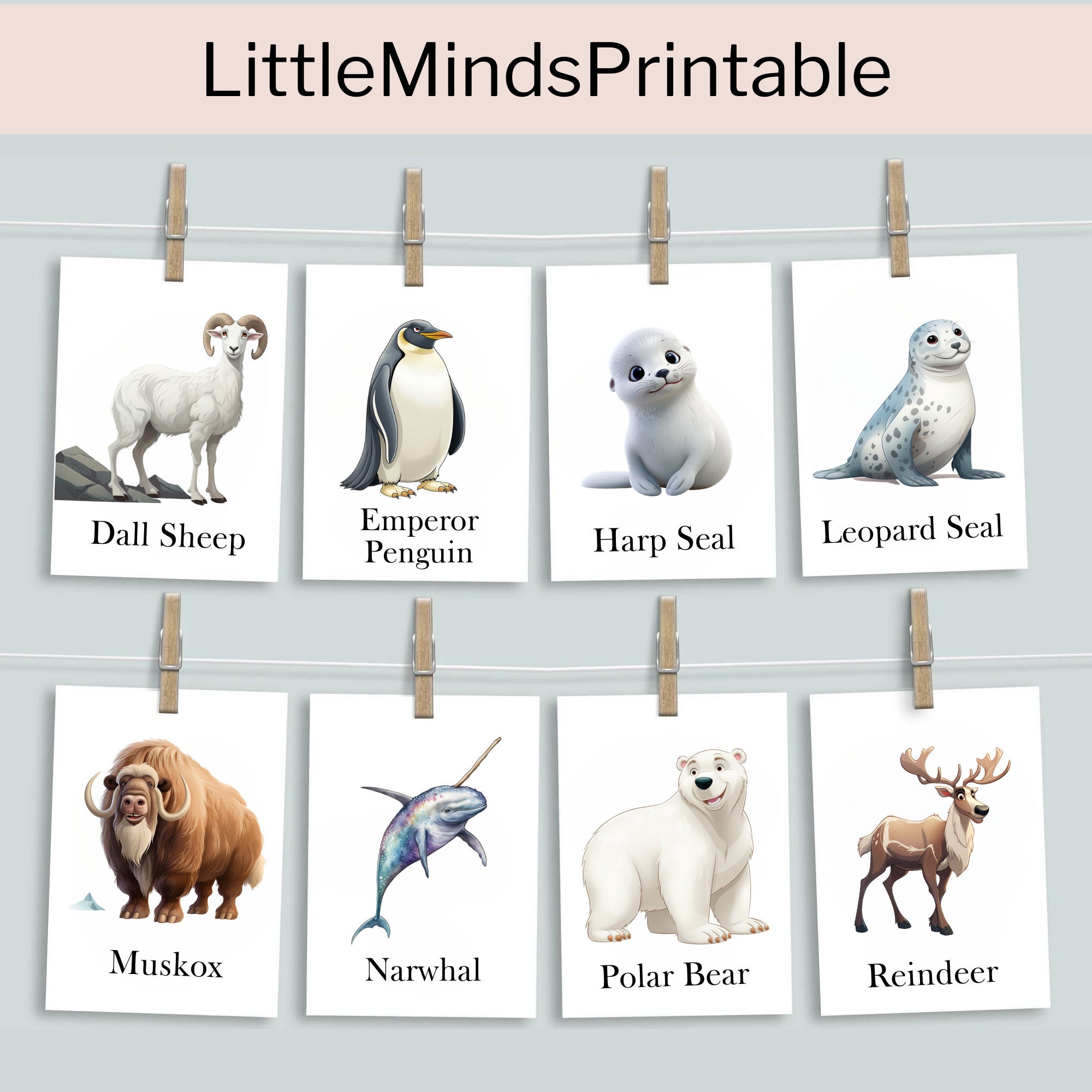 Polar Animal Printable Flash Cards Learning Tool for Education About ...