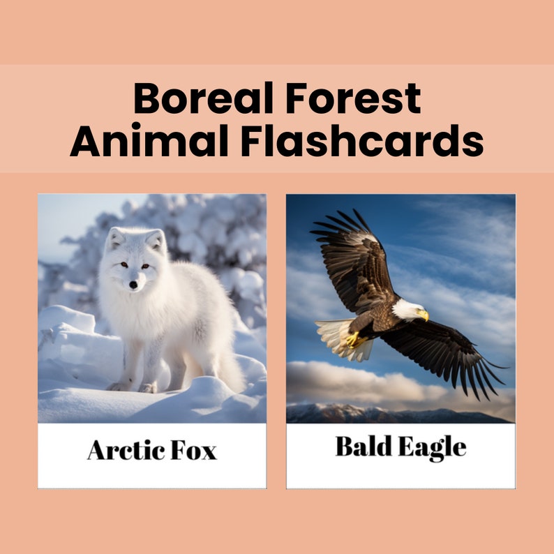 Boreal Forest Animal Flashcards Printable for Kids Animal Forest ...