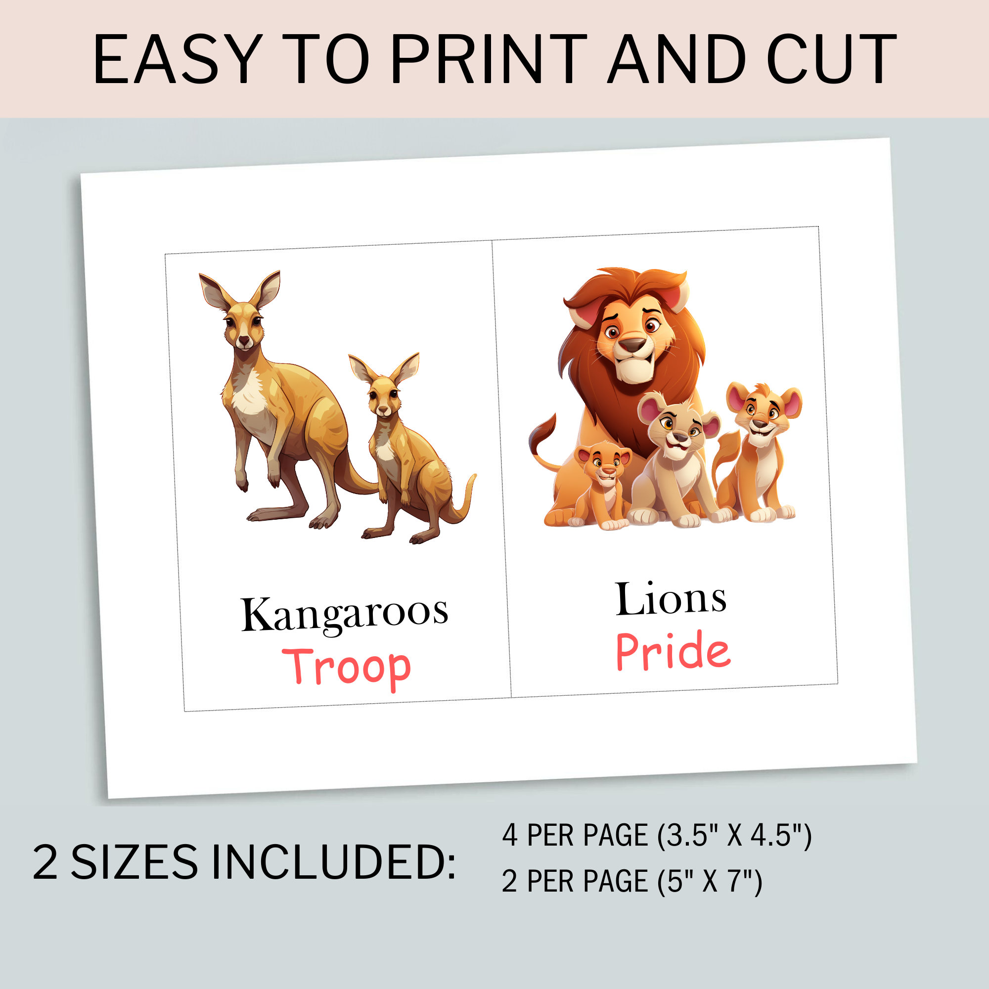 Animal Group Name Printable Flash Cards Learning Tool for - Etsy
