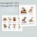Desert Animal Printable Flash Cards Learning Tool for Education About ...