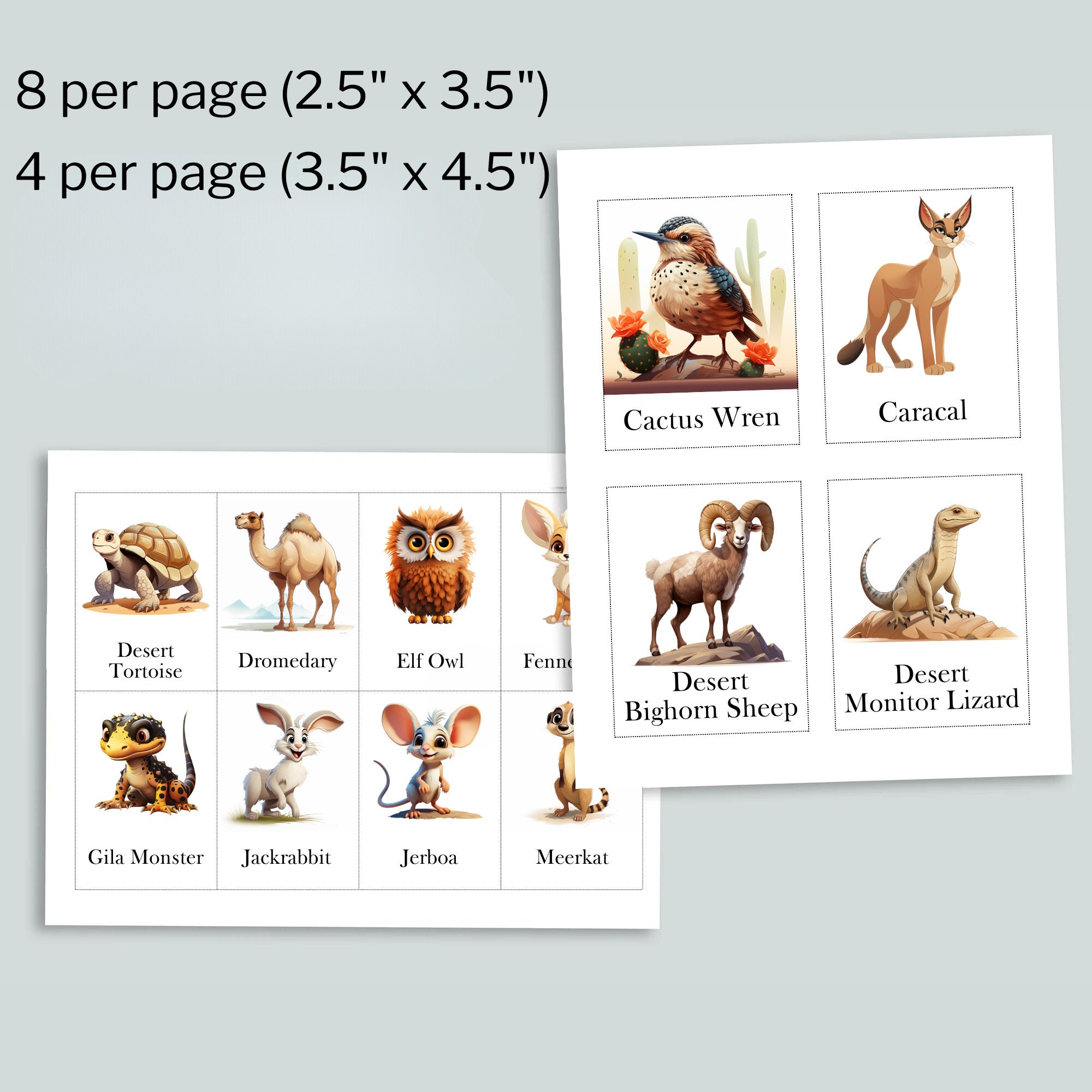 Desert Animal Printable Flash Cards Learning Tool for Education About ...