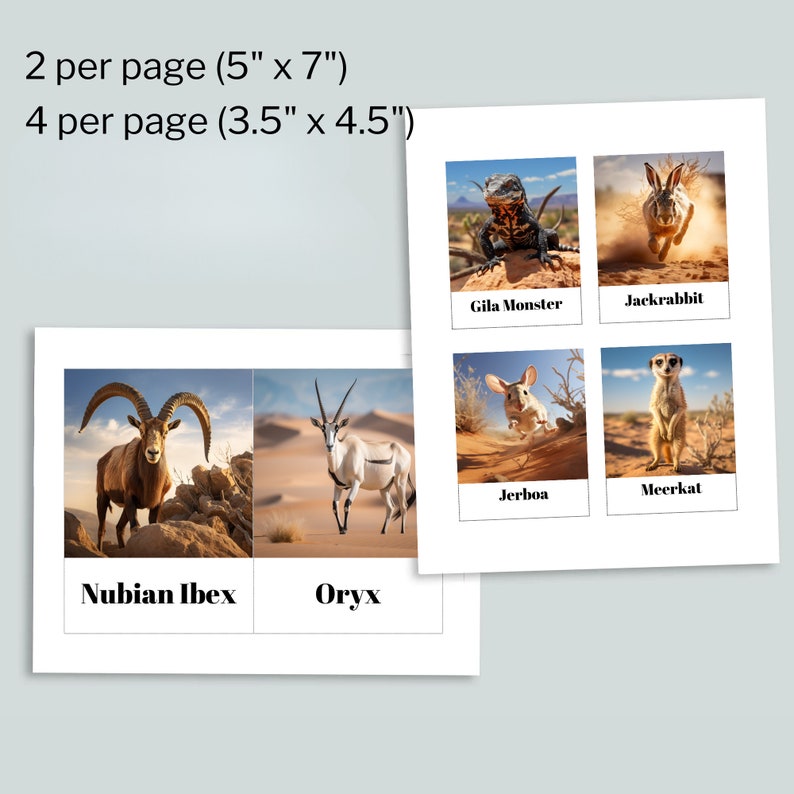 Desert Animal Flashcards Educational Printable Flashcards for Kids ...