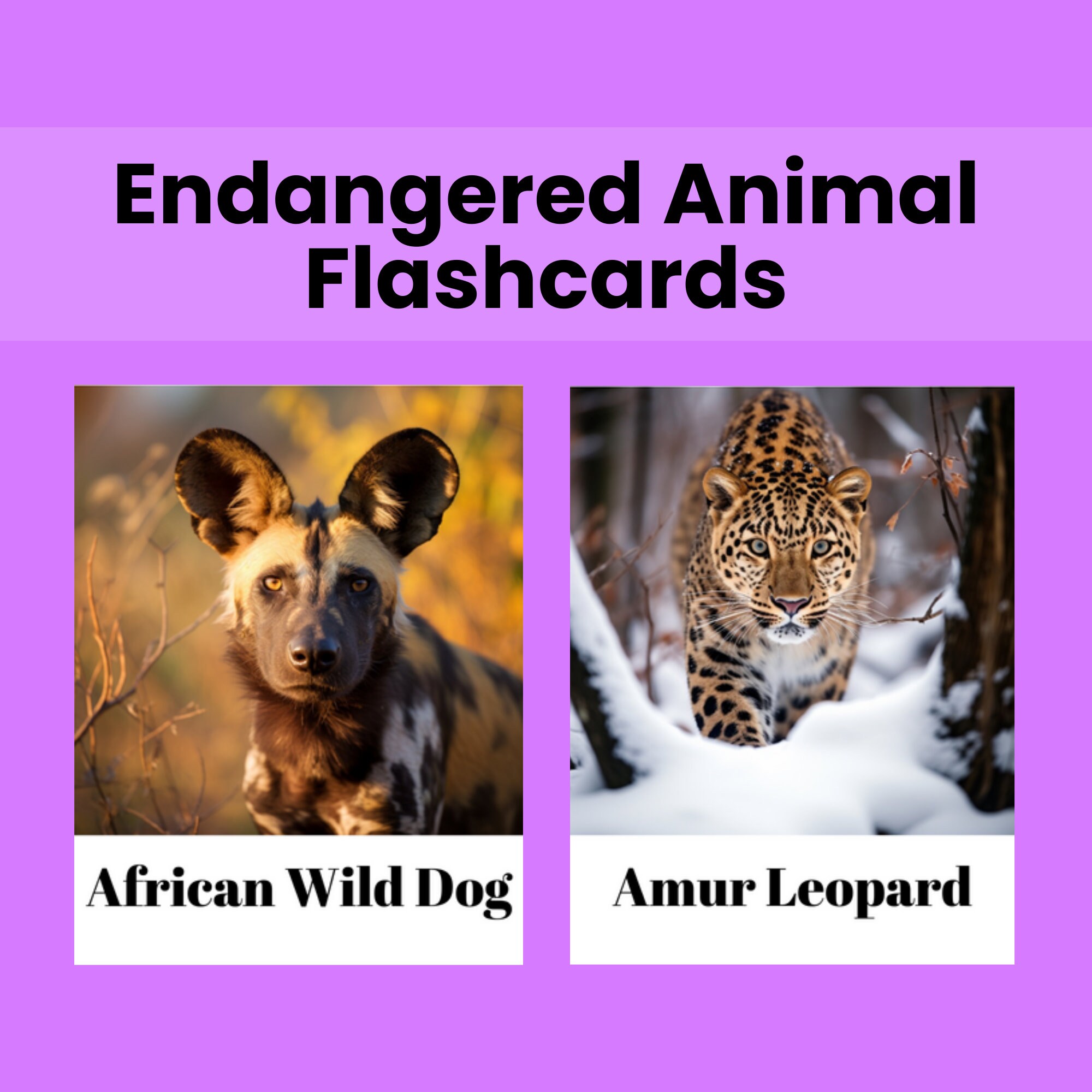 Endangered Animal Flashcardseducational Printable Flashcards for Kids ...