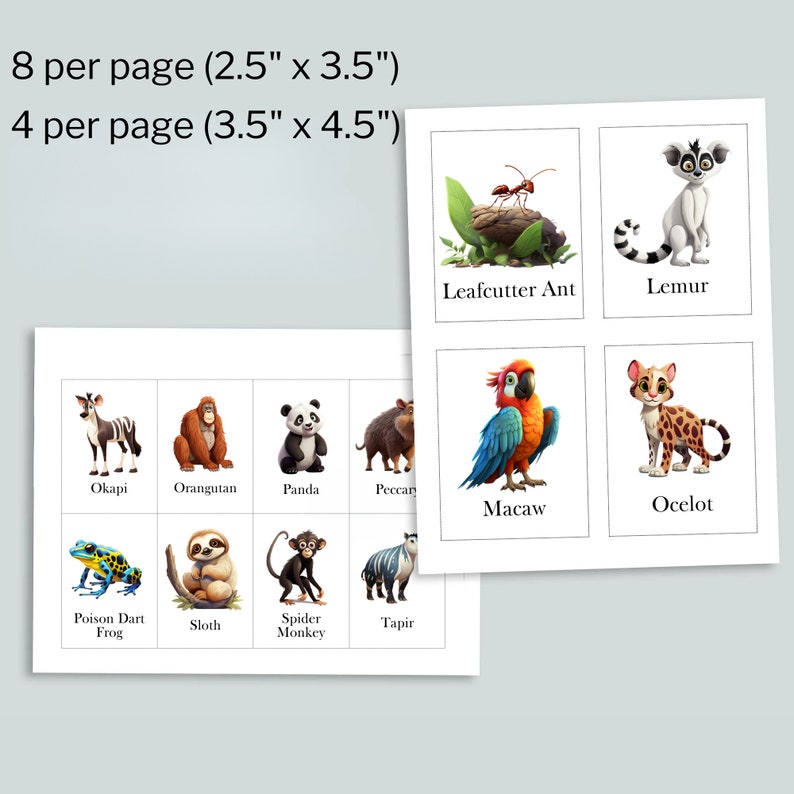 Tropical Rainforest Animal Printable Flash Cards Learning Tool for ...