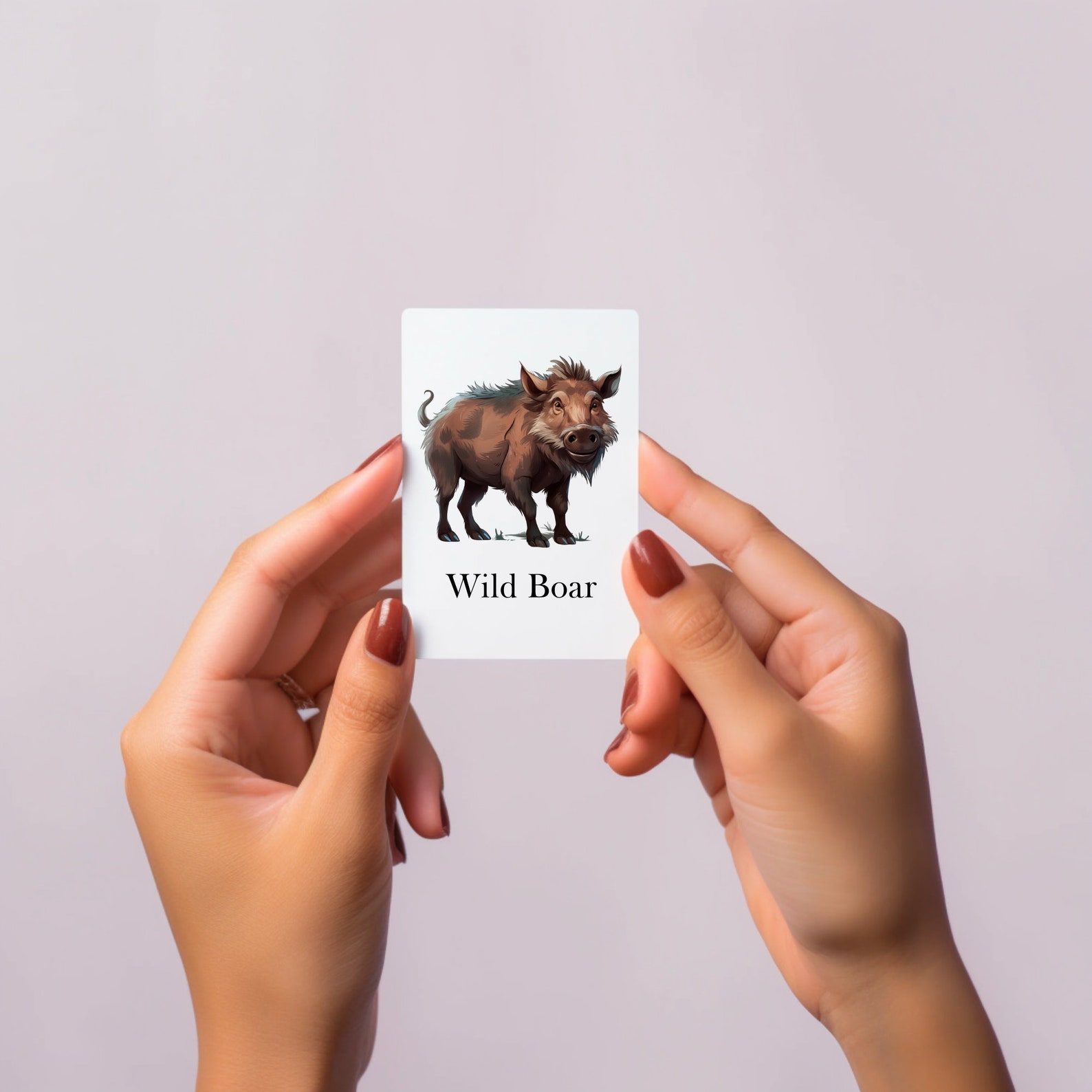 Temperate Forest Animal Printable Flash Cards Learning Tool - Etsy