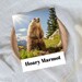Boreal Forest Animal Flashcards Printable for Kids Animal Forest ...