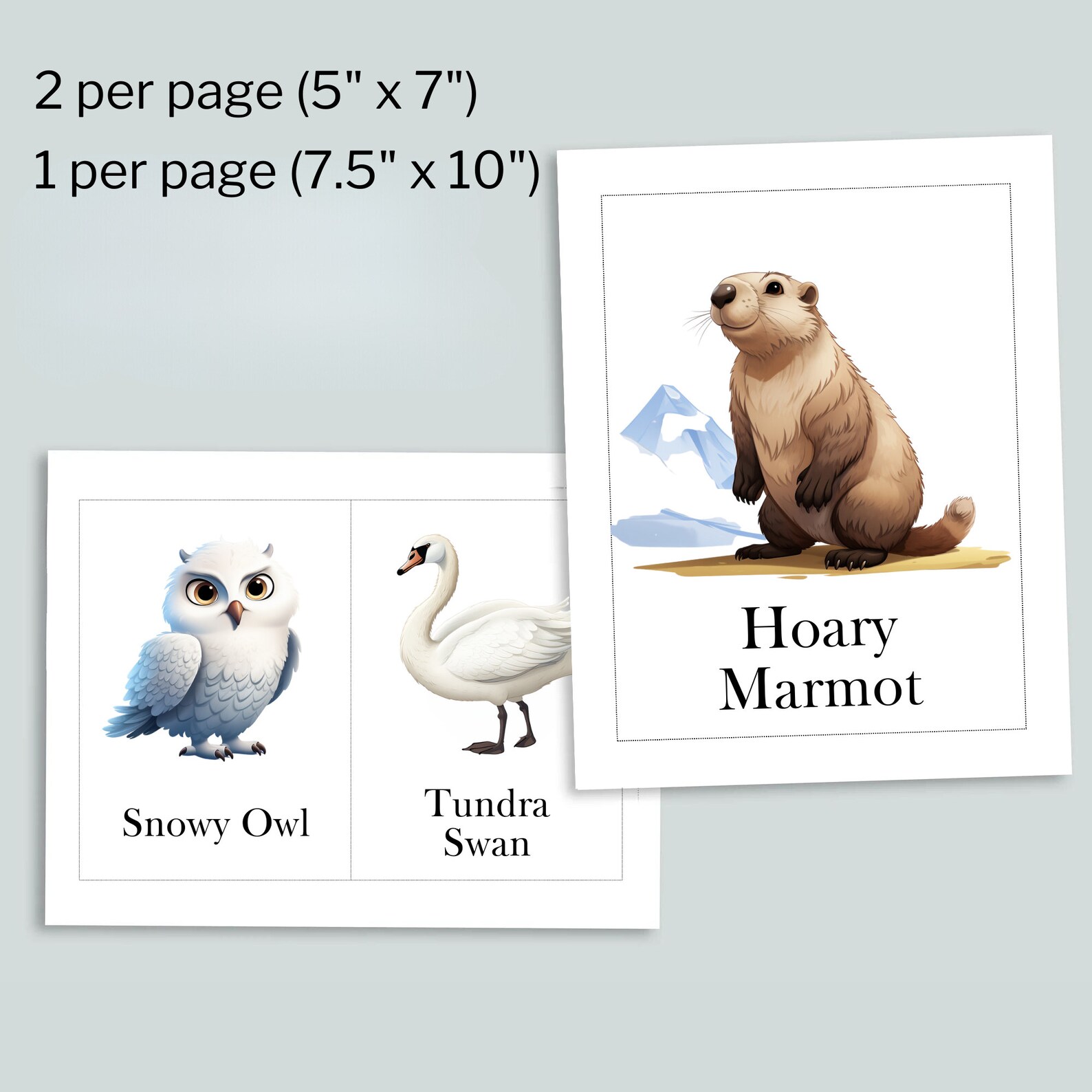 Boreal Forest Animal Printable Flash Cards Learning Tool for Education ...