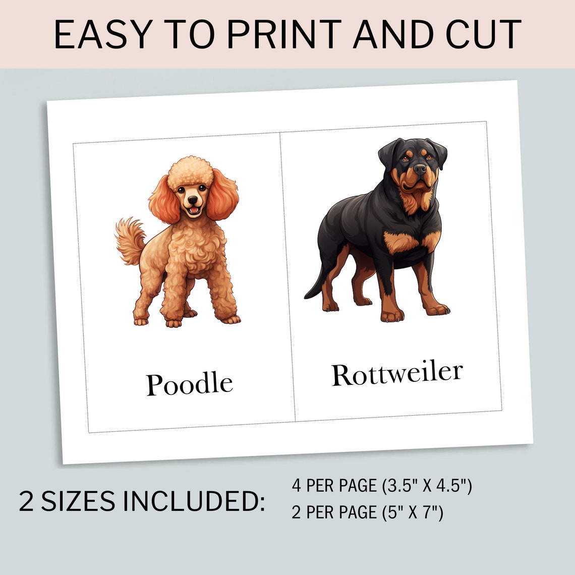 Dog Breeds Printable Flash Cards Learning Tool for Education About Fun ...