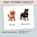 Dog Breeds Printable Flash Cards Learning Tool for Education About Fun ...