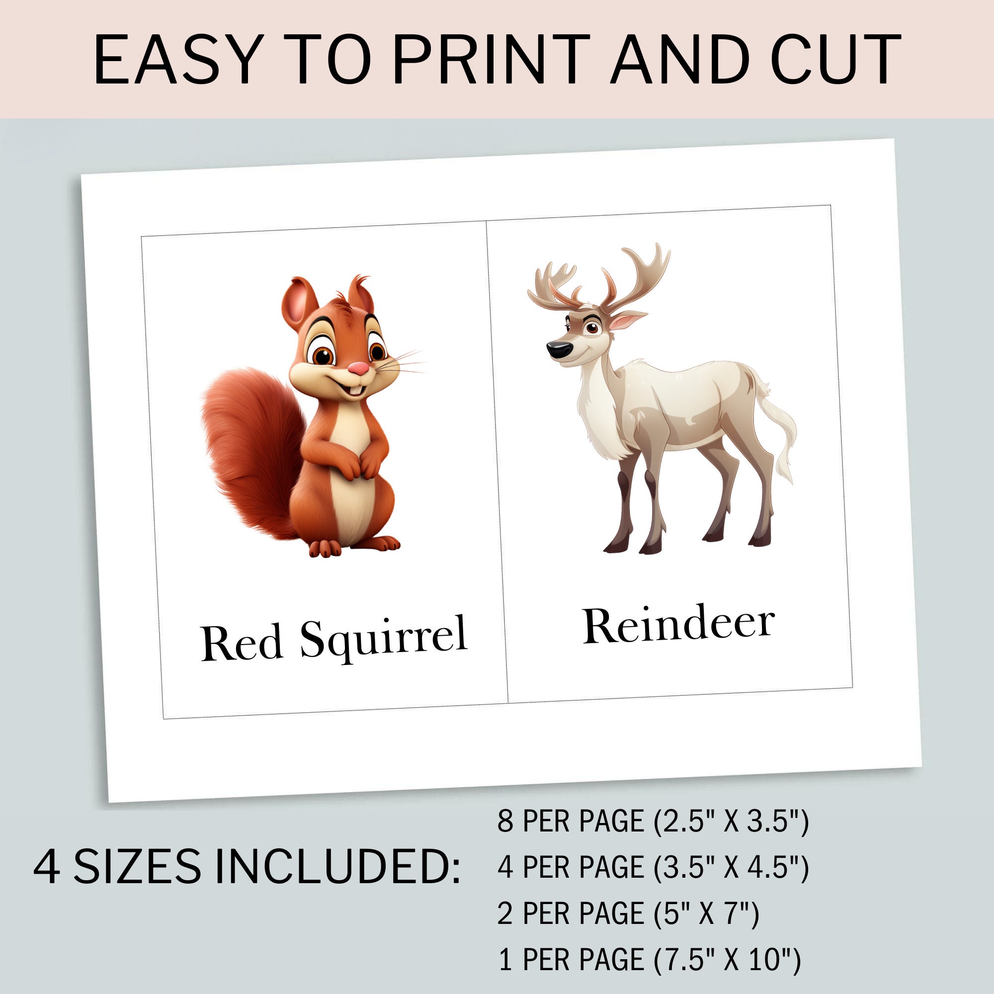 Boreal Forest Animal Printable Flash Cards Learning Tool for Education ...