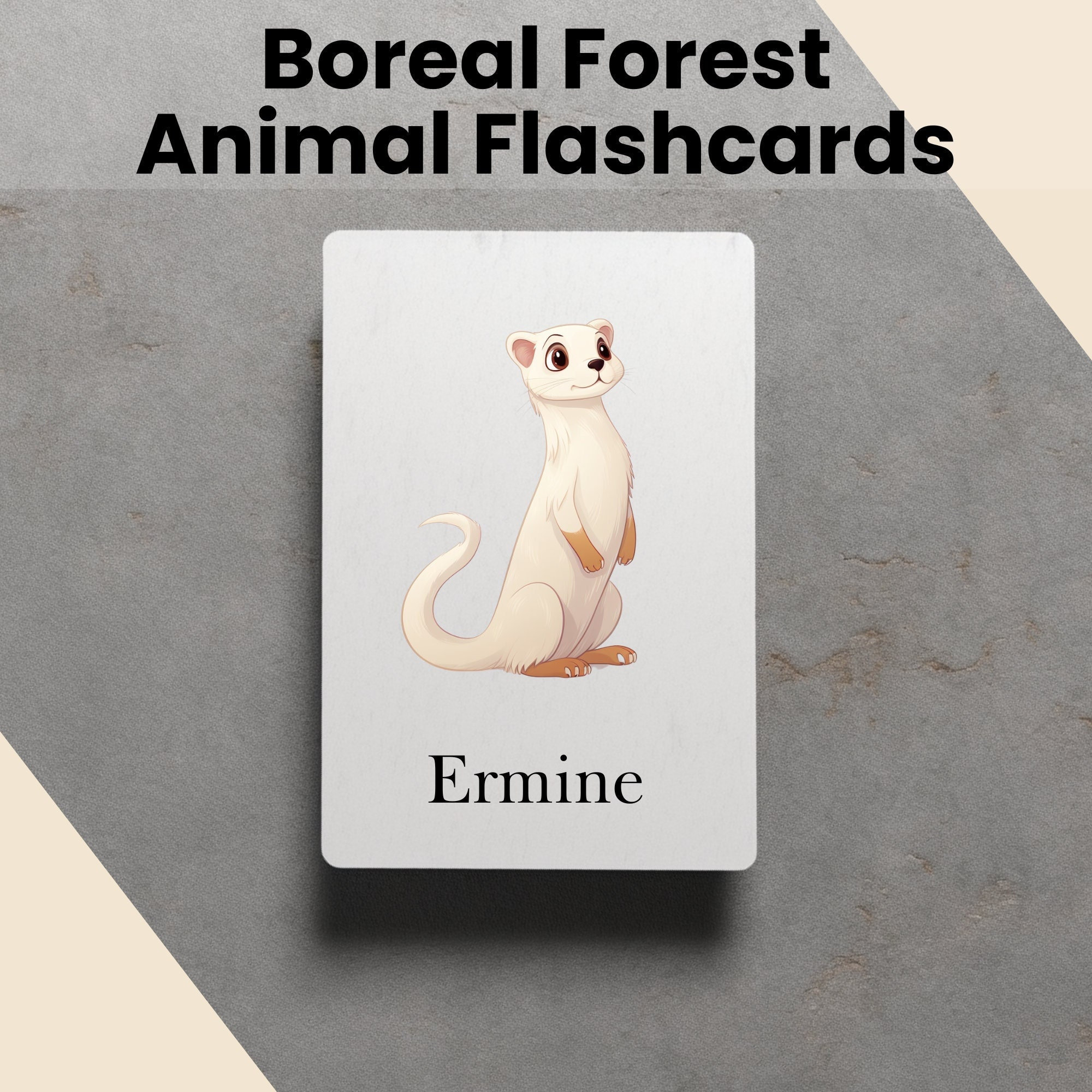 Boreal Forest Animal Printable Flash Cards Learning Tool for Education ...