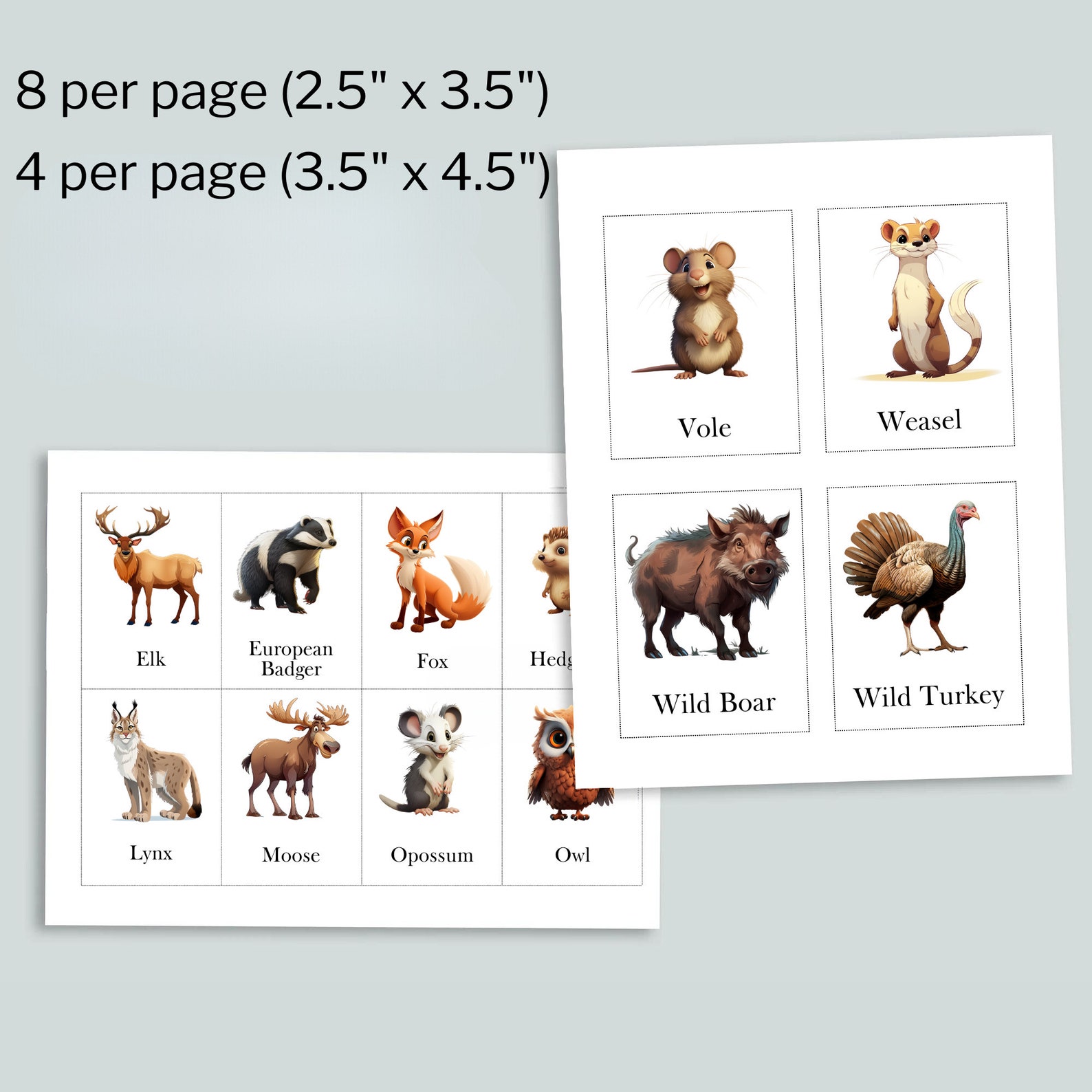 Temperate Forest Animal Printable Flash Cards Learning Tool for ...