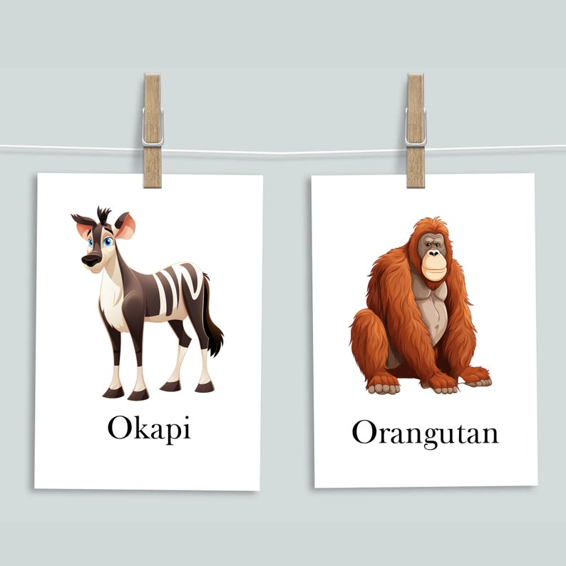 Tropical Rainforest Animal Printable Flash Cards Learning Tool for ...