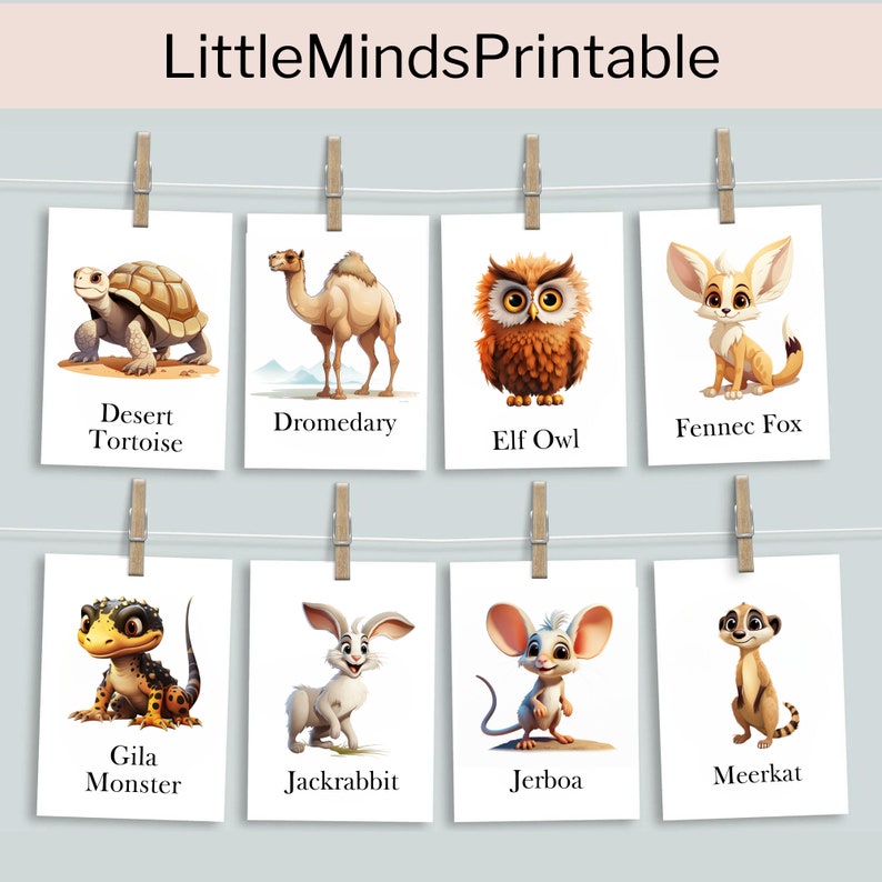 Desert Animal Printable Flash Cards Learning Tool for Education About ...