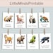 Endangered Printable Flash Cards Learning Tool for Education About Fun ...