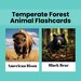 Temperate Forest Printable Animal Flashcards for Kids Printable Animal ...