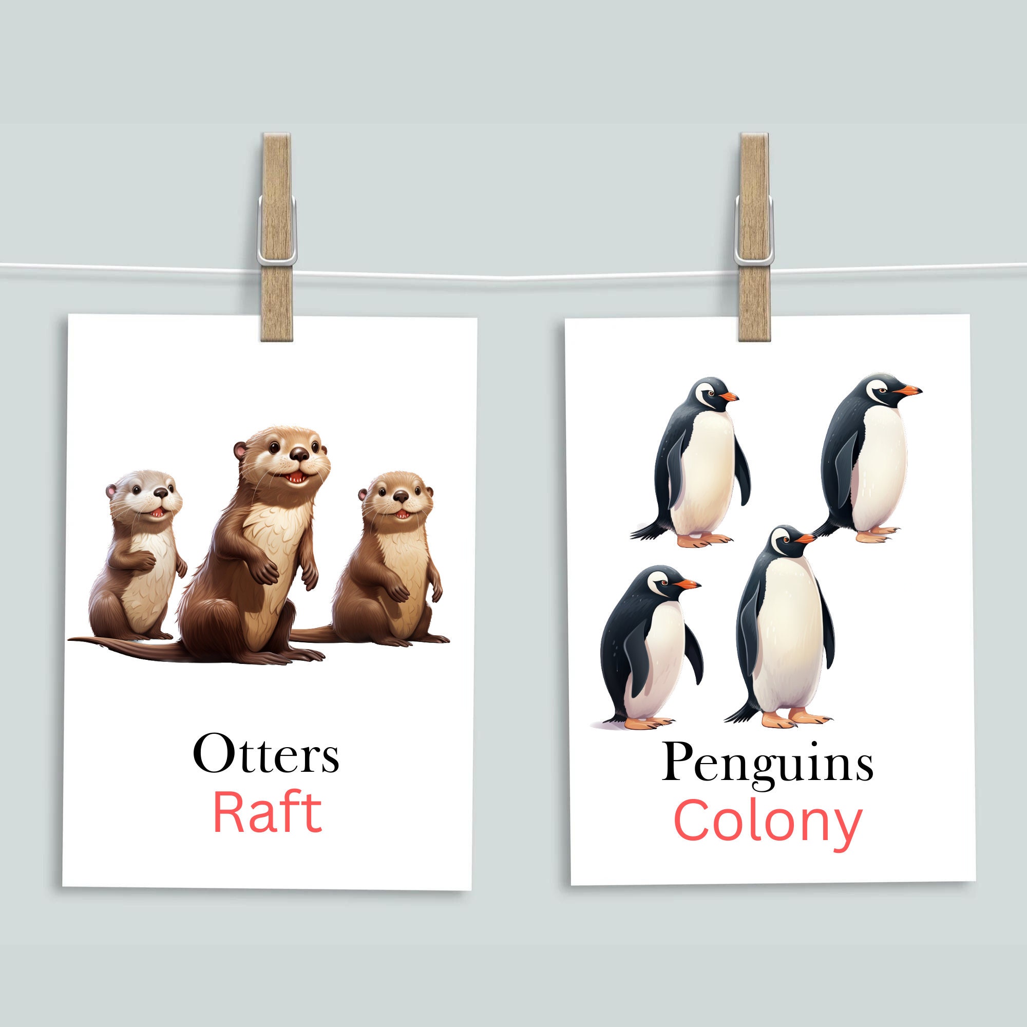 Animal Group Name Printable Flash Cards Learning Tool for Education ...
