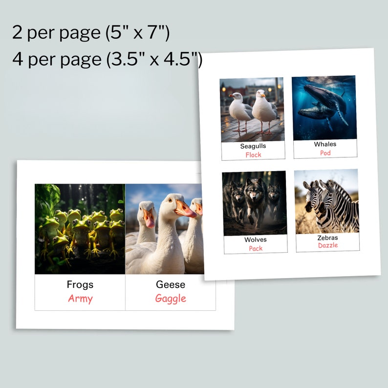 Animal Group Flashcards Educational Printable Flashcards for Kids ...