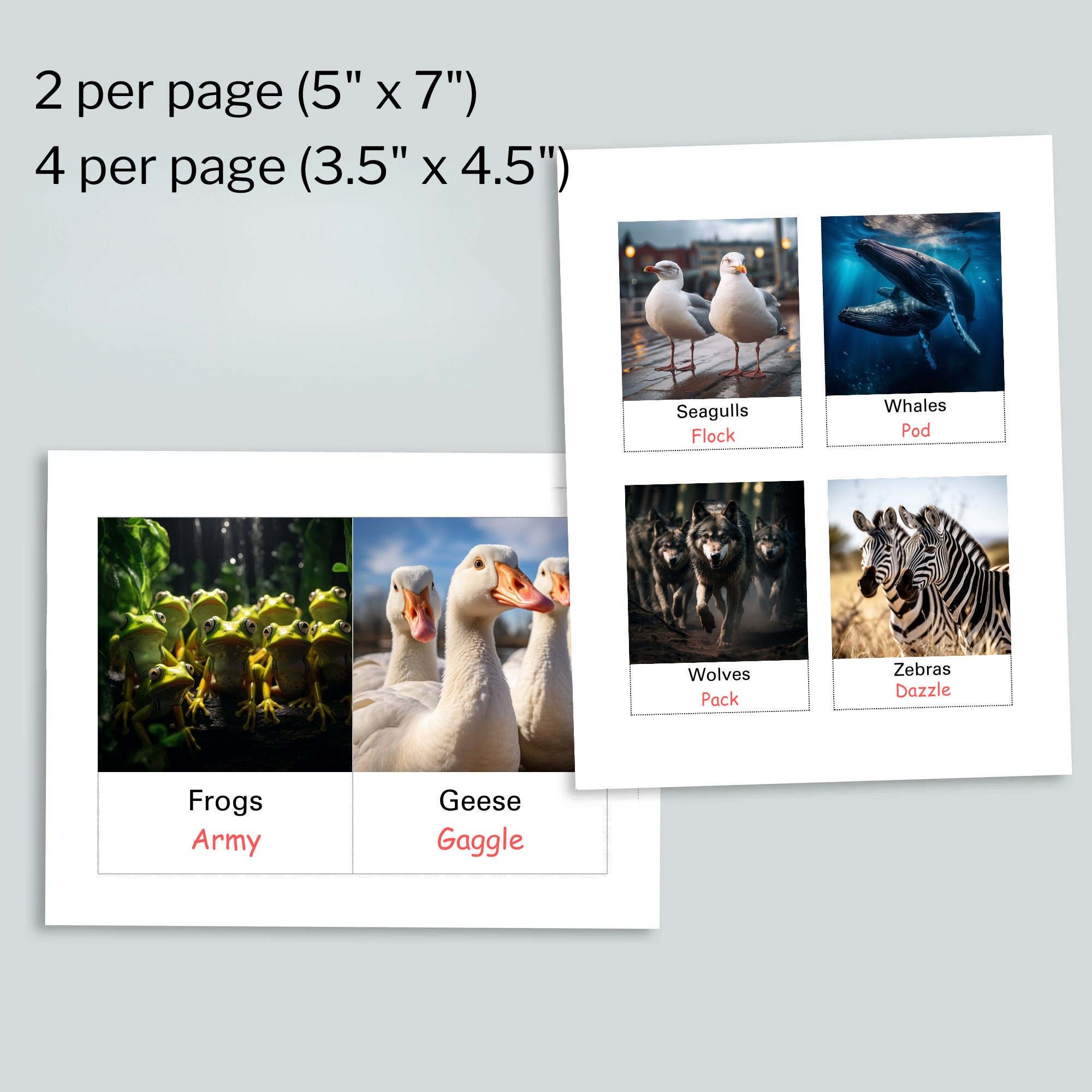 Animal Group Flashcards Educational Printable Flashcards for Kids ...