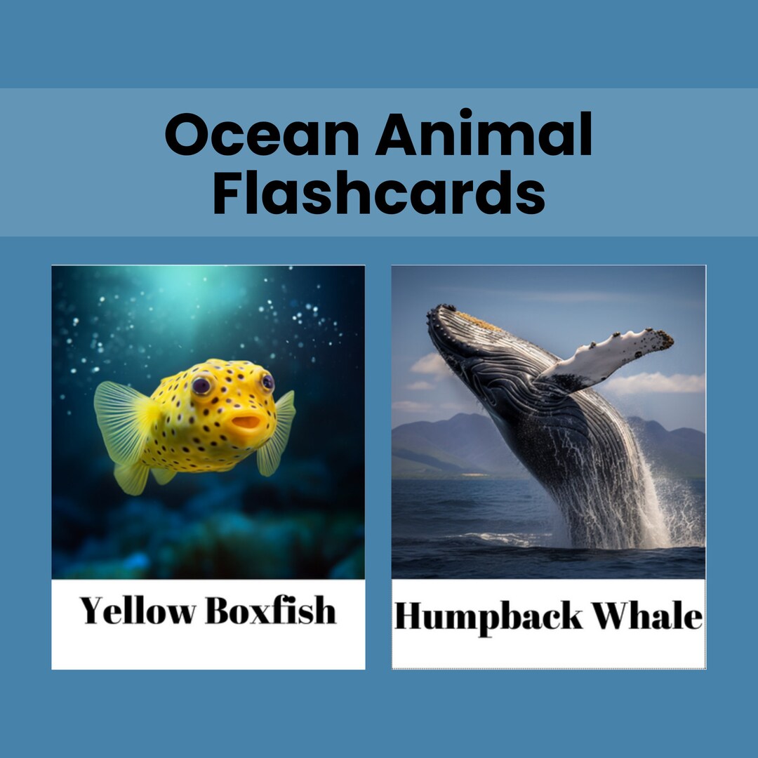 Ocean Animal Educational Printable Flashcards for Kids With Realistic ...