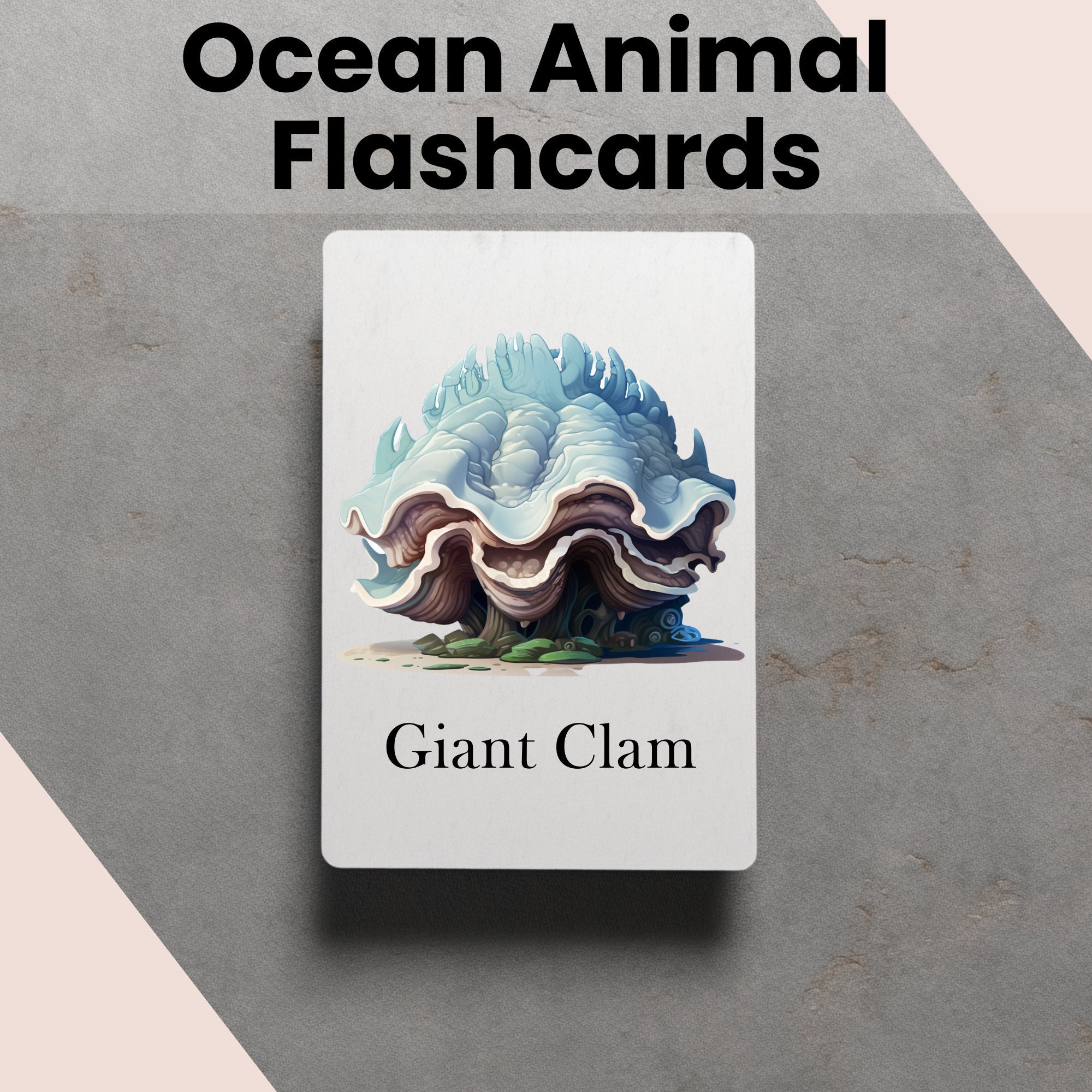 Ocean Animal Printable Flash Cards Learning Tool for Education About ...
