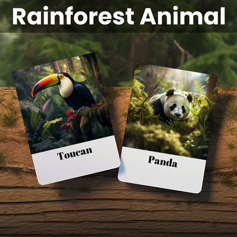 Tropical Rainforest Animal Printable Flashcards for Kids Printable ...