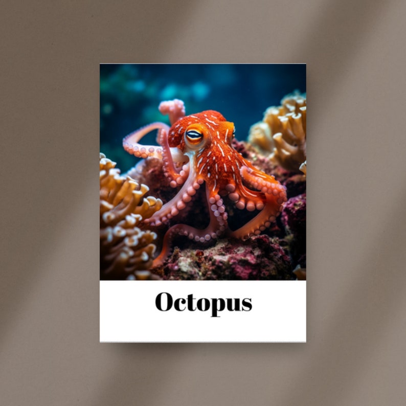 Ocean Animal Educational Printable Flashcards for Kids With Realistic ...