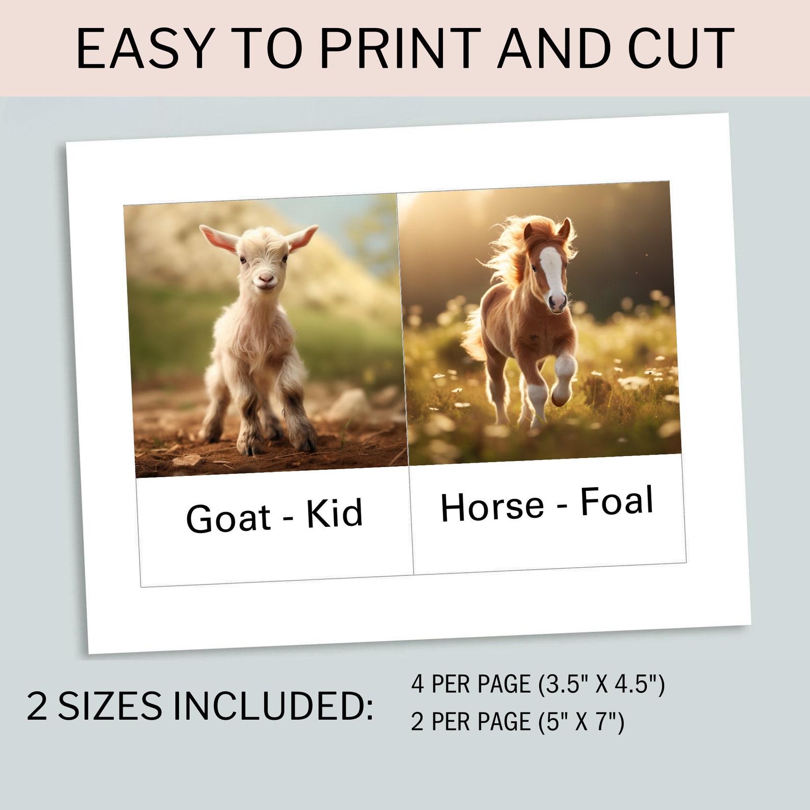 Baby Animal Flashcards Educational Printable Flashcards for Kids ...