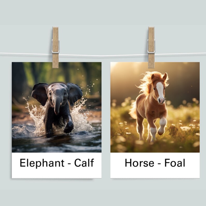 Baby Animal Flashcards Educational Printable Flashcards for Kids ...