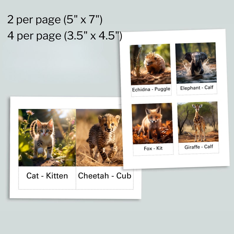 Baby Animal Flashcards Educational Printable Flashcards for Kids ...