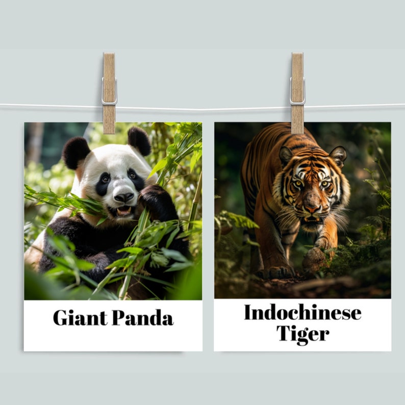 Endangered Animal Flashcardseducational Printable Flashcards for Kids ...