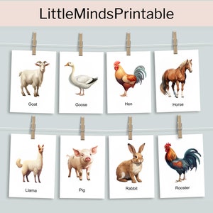 Farm Animal Digital Printable Flash Cards Learning Tool for Education ...