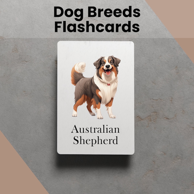 Dog Breeds Printable Flash Cards Learning Tool for Education About Fun ...