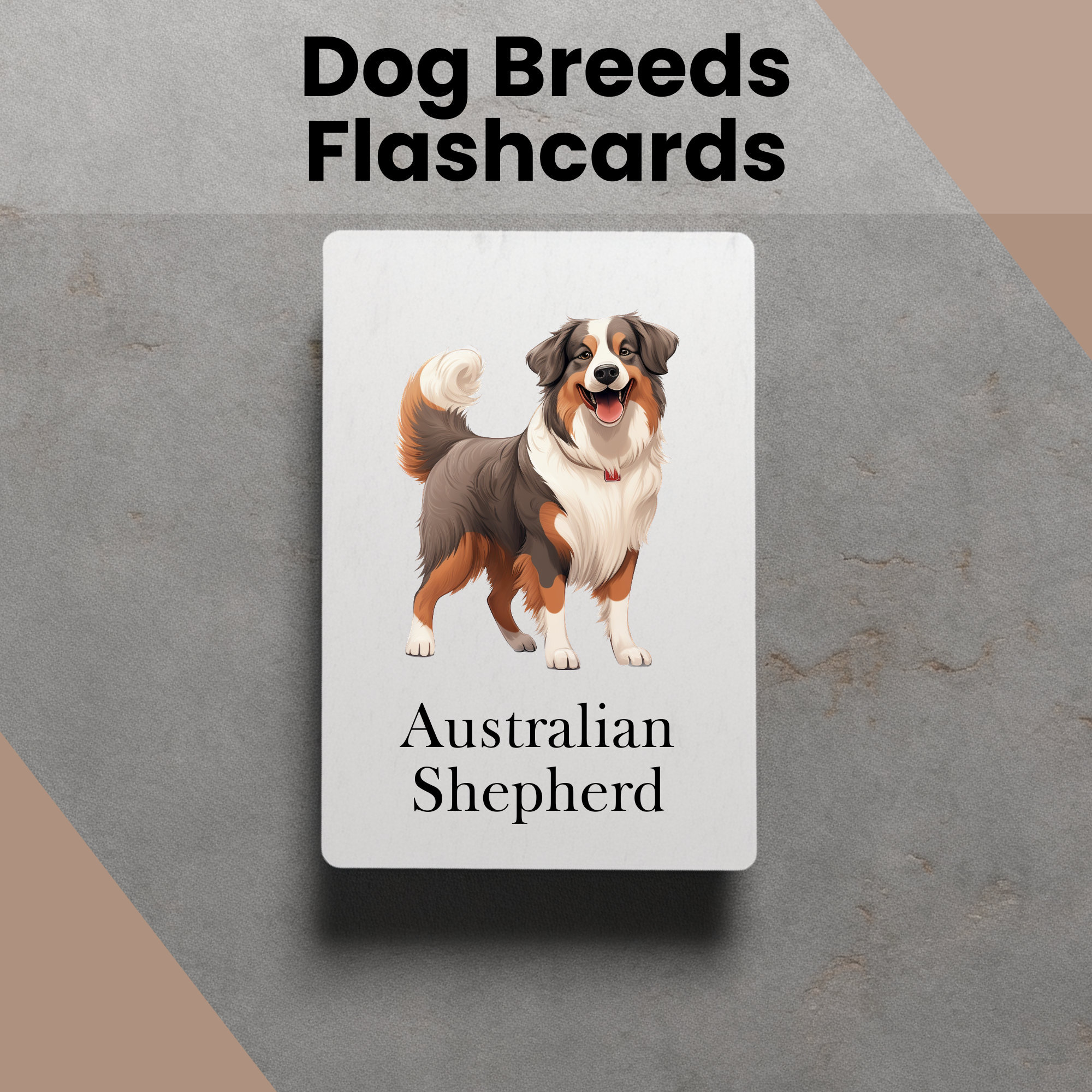 Dog Breeds Printable Flash Cards Learning Tool for Education About Fun ...