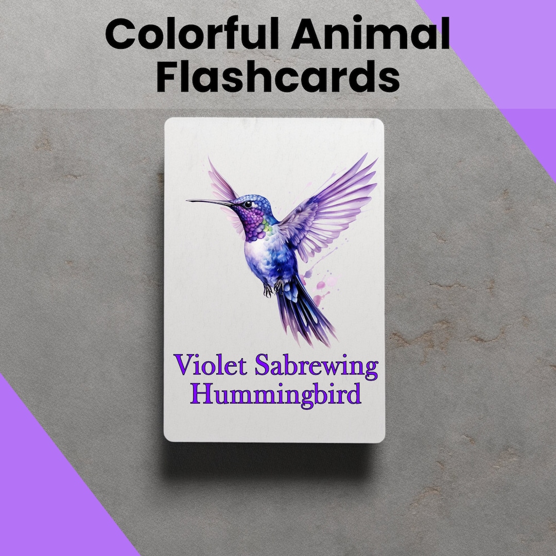 Colorful Animal Printable Flash Cards Learning Tool for Education About ...