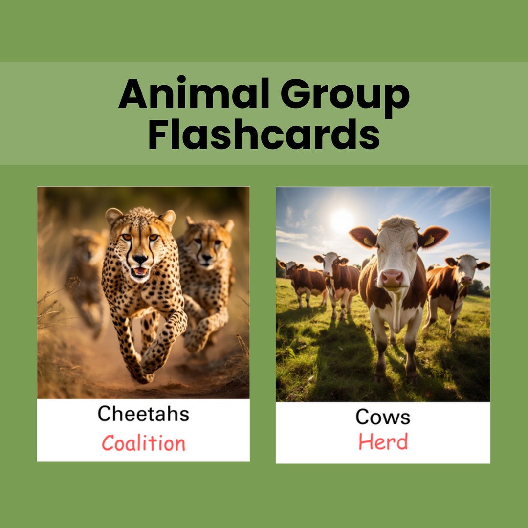 Animal Group Flashcards Educational Printable Flashcards for Kids ...