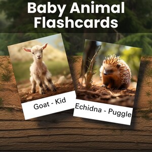 Baby Animal Flashcards Educational Printable Flashcards for Kids ...