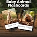 Baby Animal Flashcards Educational Printable Flashcards for Kids ...
