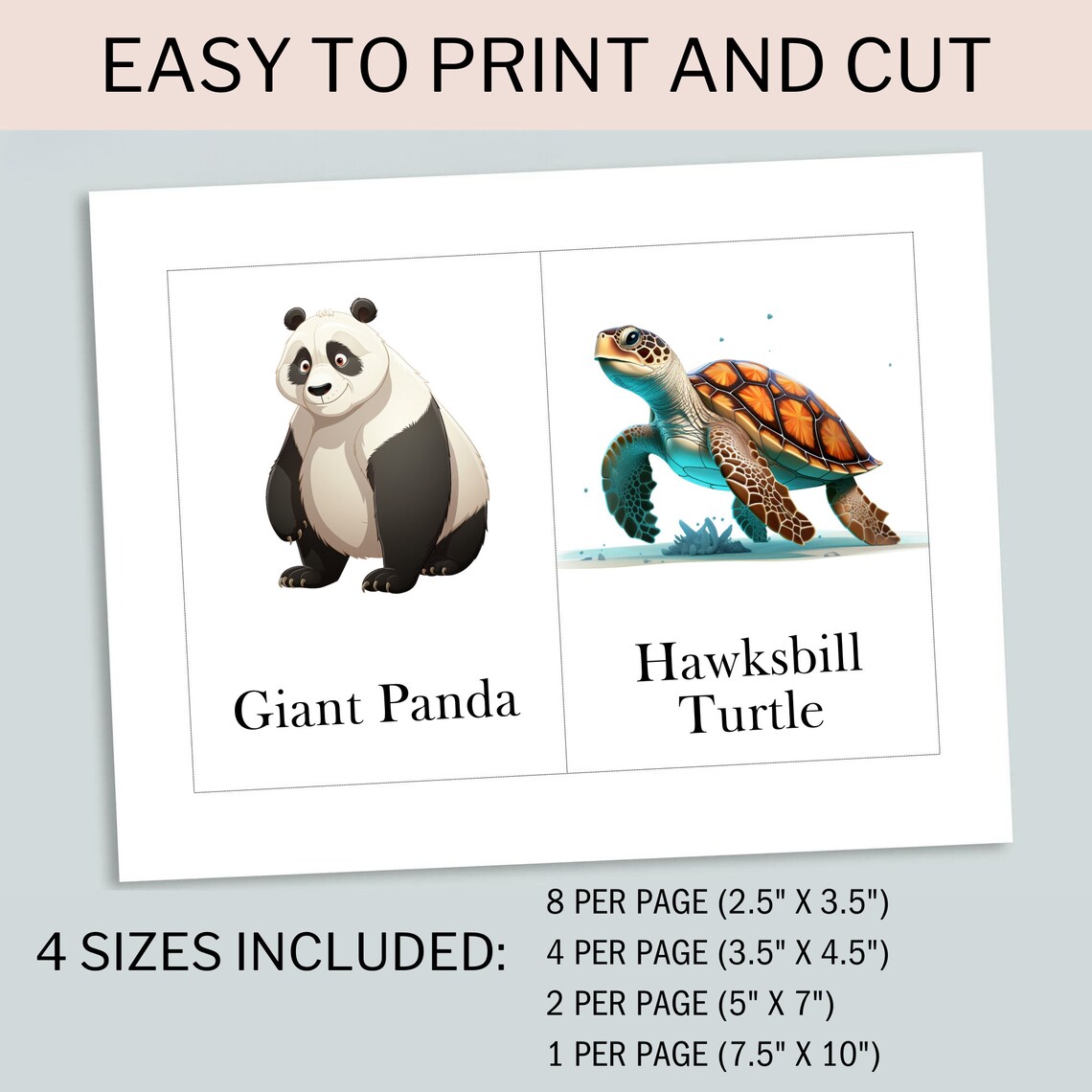 Endangered Printable Flash Cards Learning Tool for Education About Fun ...