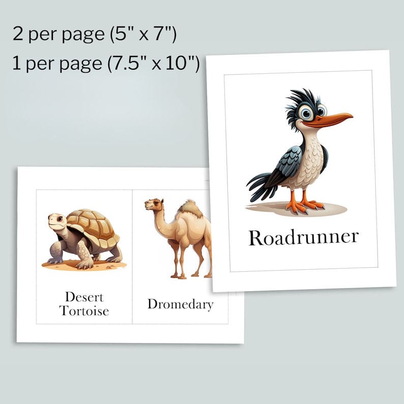 Desert Animal Printable Flash Cards Learning Tool for Education About ...
