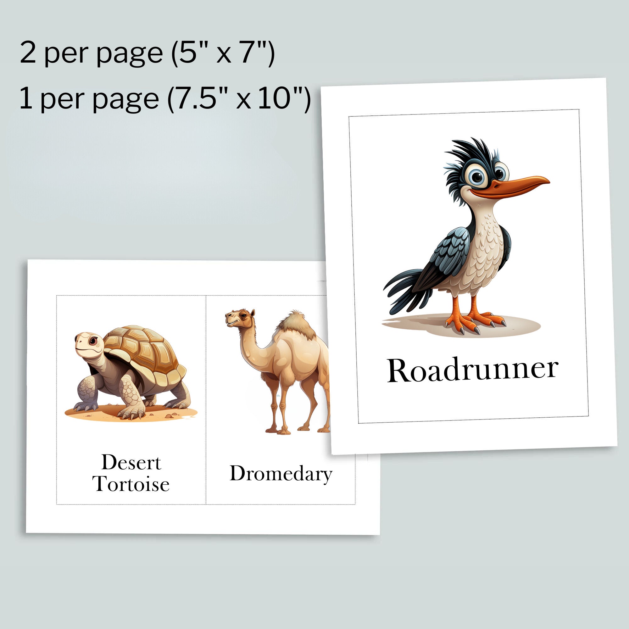 Desert Animal Printable Flash Cards Learning Tool for Education About ...