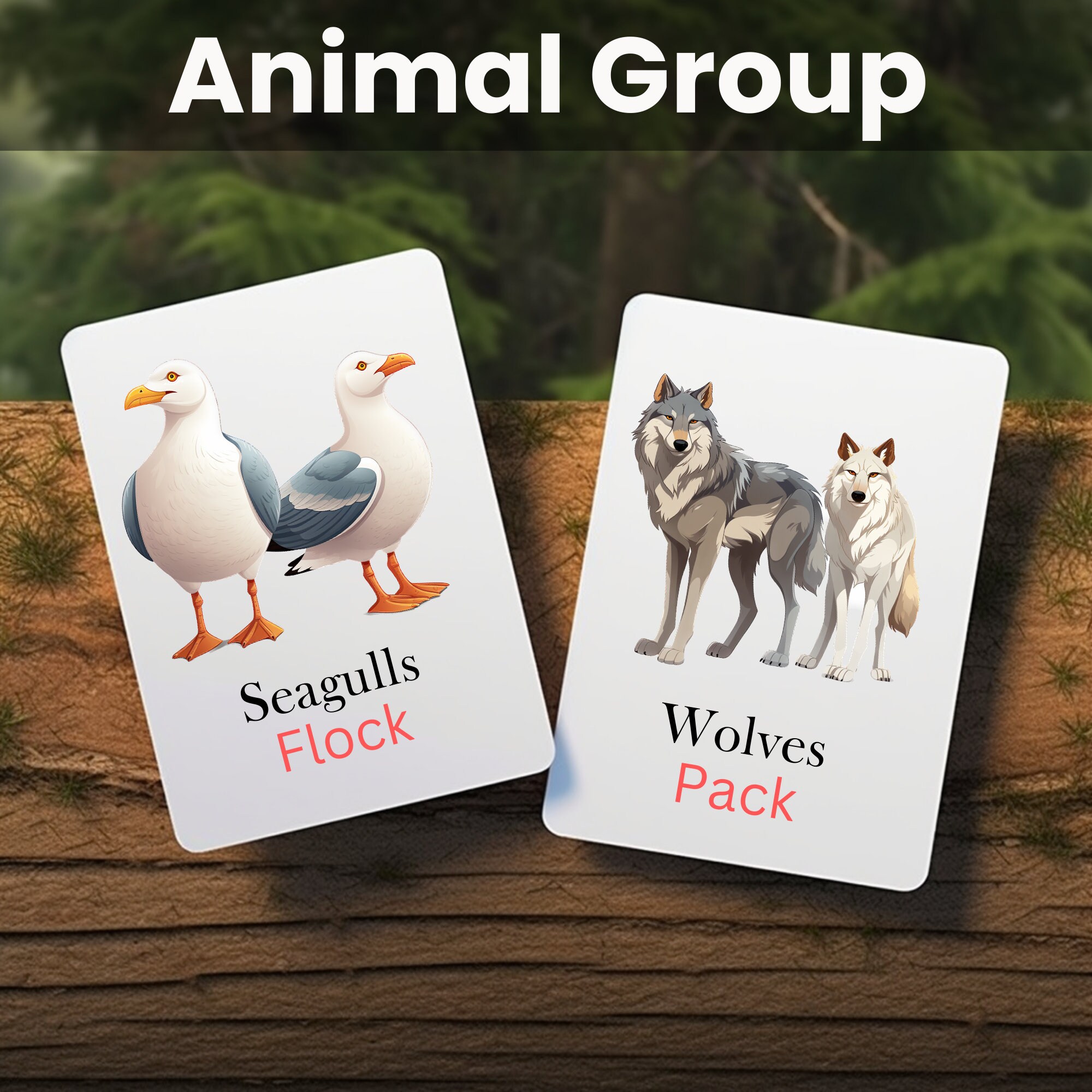 Animal Group Name Printable Flash Cards Learning Tool for - Etsy