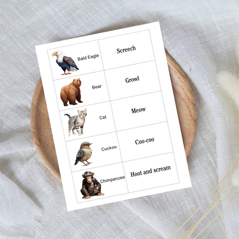 Animal Sound Matching Cards for Kids With Digital Animal Printable ...
