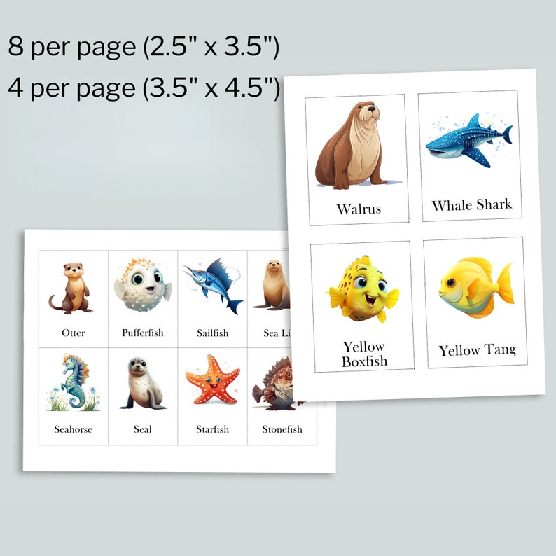 Ocean Animal Printable Flash Cards Learning Tool for Education About ...